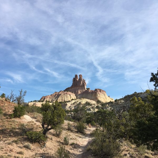 About us – Gallup Community Health